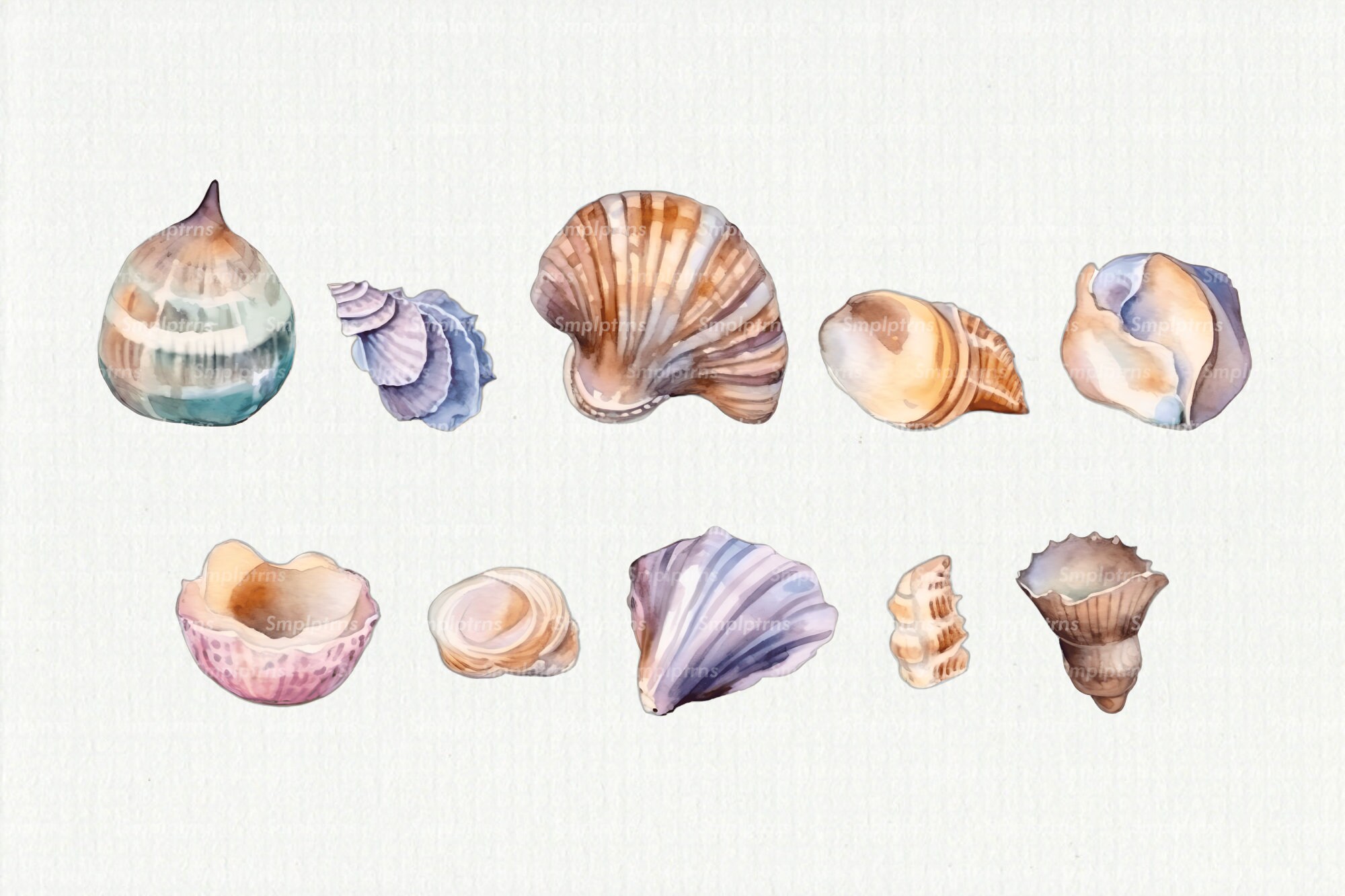 Watercolor Sea Shells Clipart Pack #1 - Dreamy Sea Shells in PNG Format ...