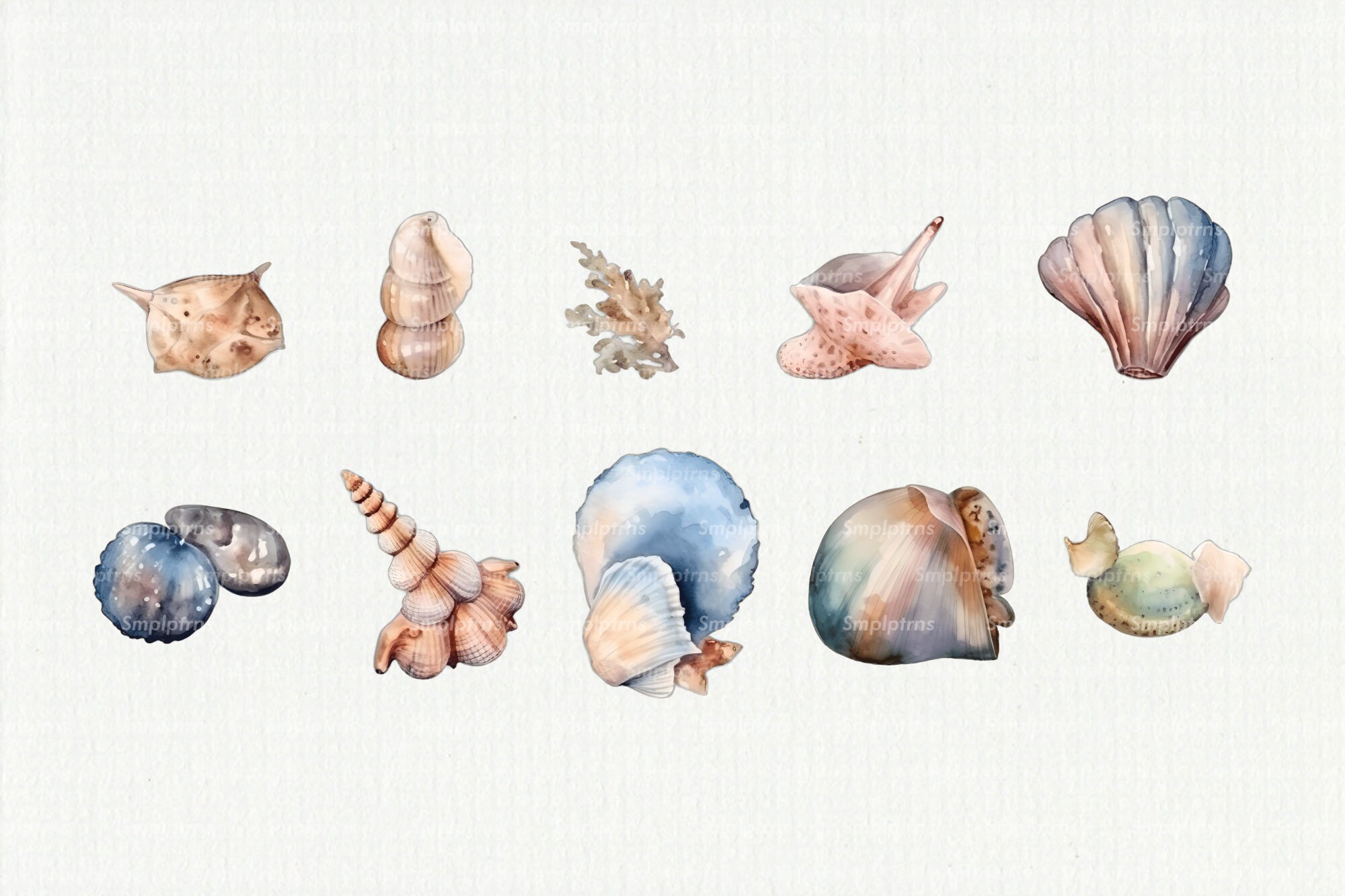 Watercolor Sea Shells Clipart Pack #3 - Dreamy Sea Shells in PNG Format ...