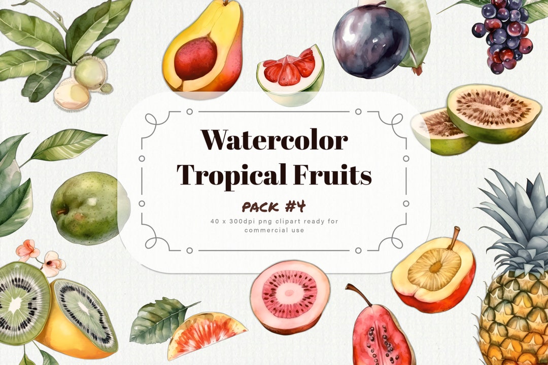 Watercolor Tropical Fruit Clipart Pack #4 - Juicy Tropical Fruit in PNG ...