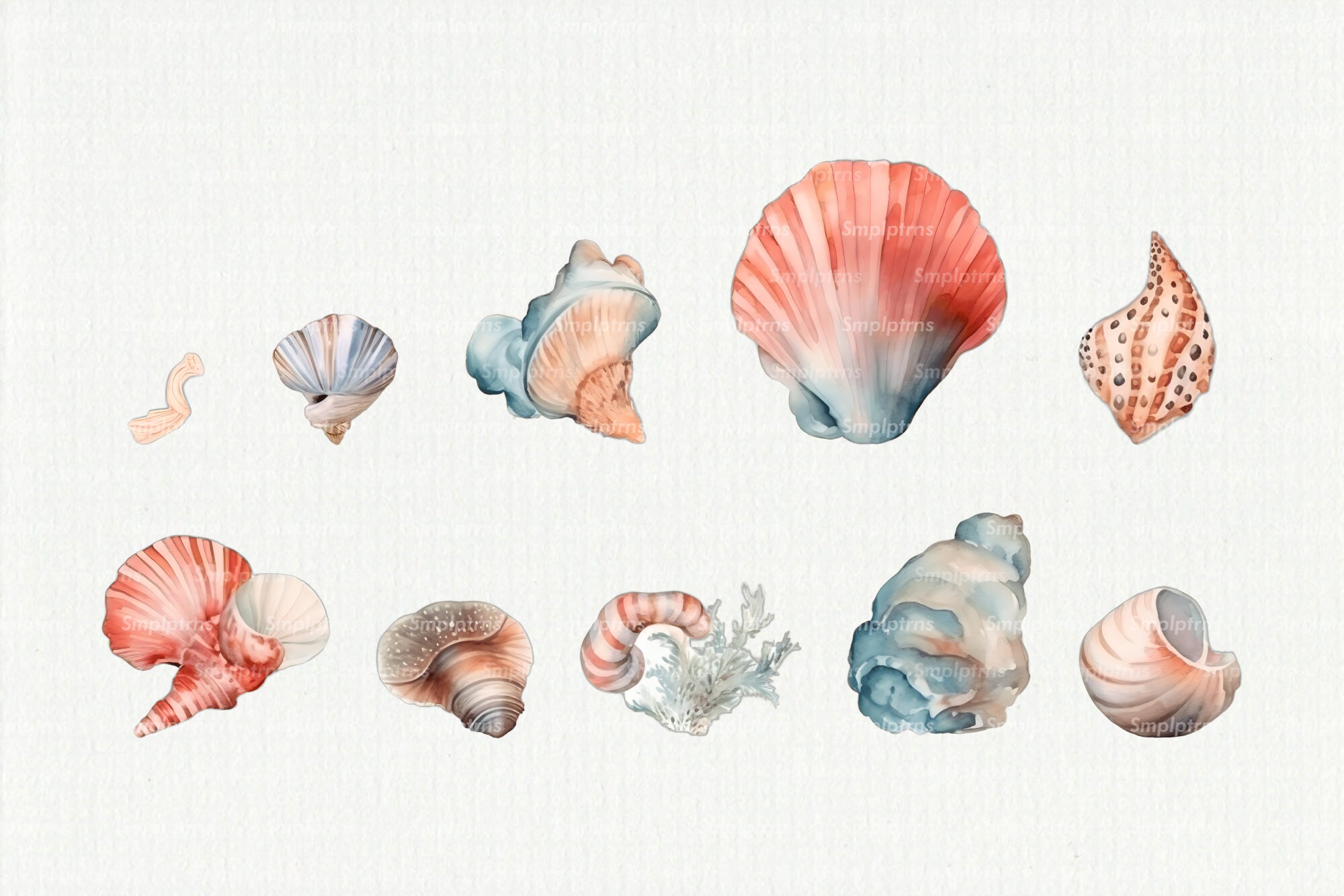 Watercolor Sea Shells Clipart Pack #5 - Dreamy Sea Shells in PNG Format ...