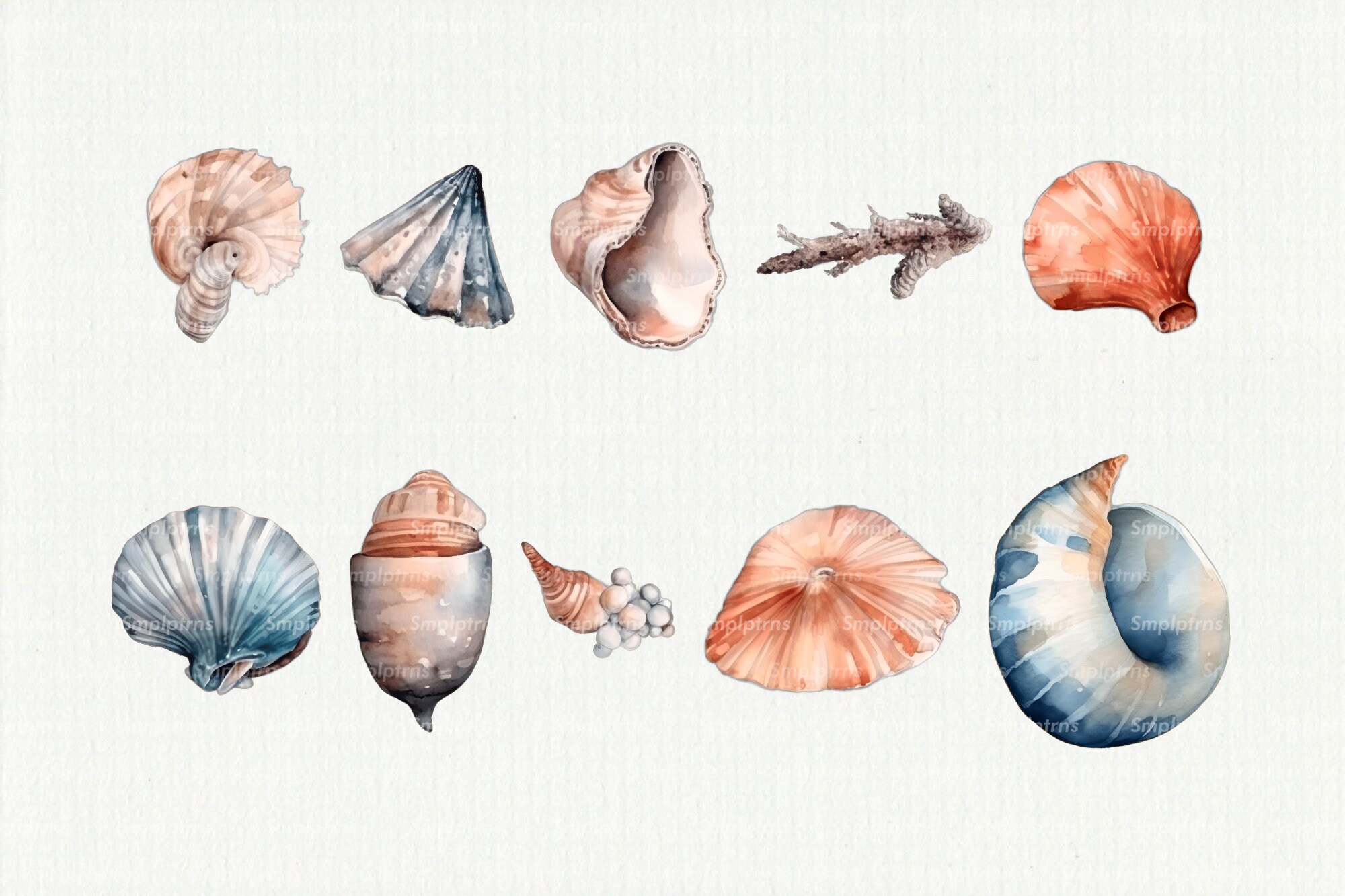 Watercolor Sea Shells Clipart Pack #1 - Dreamy Sea Shells in PNG Format ...