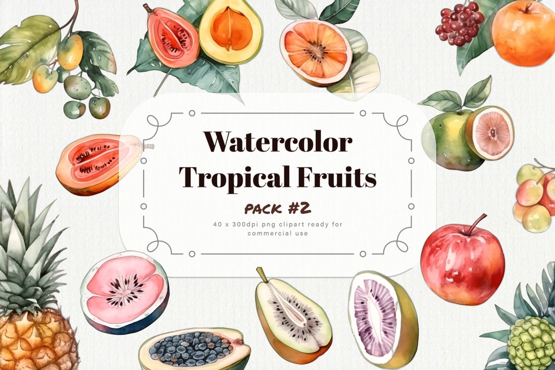 Watercolor Tropical Fruit Clipart Pack #2 - Juicy Tropical Fruit in PNG ...