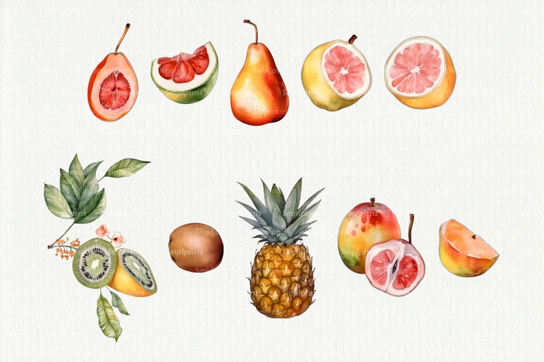 Watercolor Tropical Fruit Clipart Pack 4 Juicy Tropical - Etsy