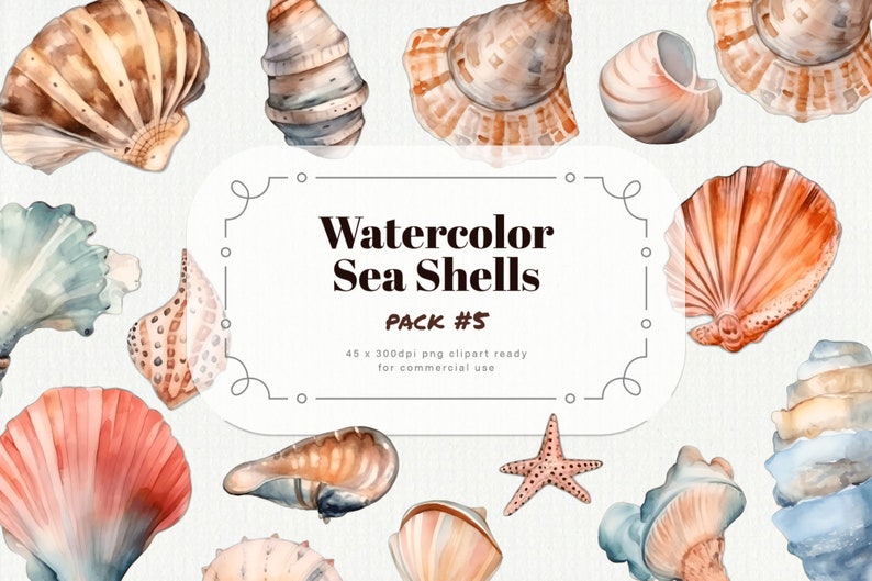 Watercolor Sea Shells Clipart Pack #5 - Dreamy Sea Shells in PNG Format ...