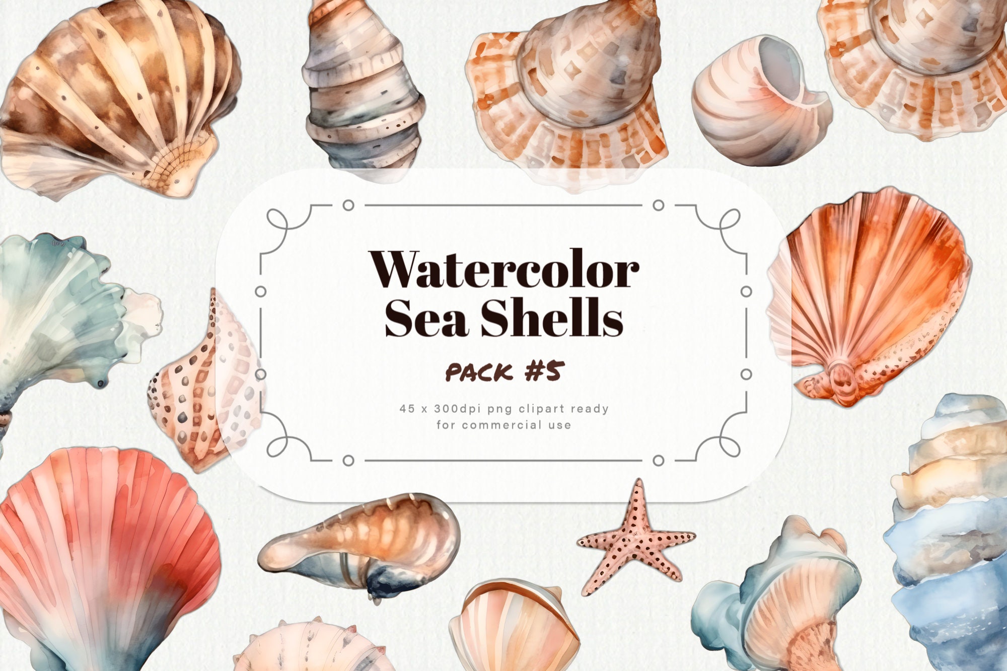Watercolor Sea Shells Clipart Pack #5 - Dreamy Sea Shells in PNG Format ...