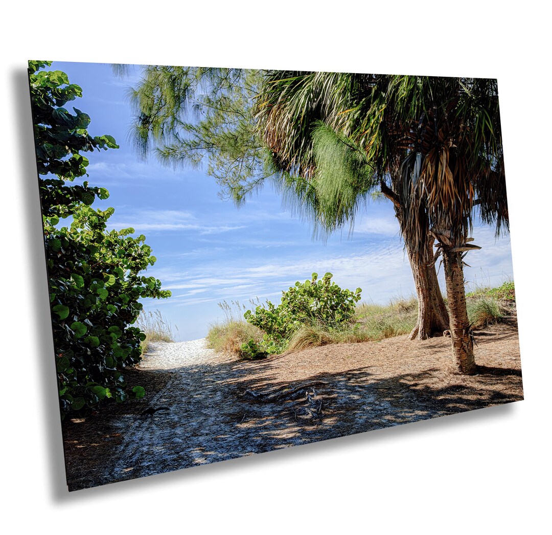 Coquina Beach Path Photography Print: Anna Maria Island, Florida Palm ...