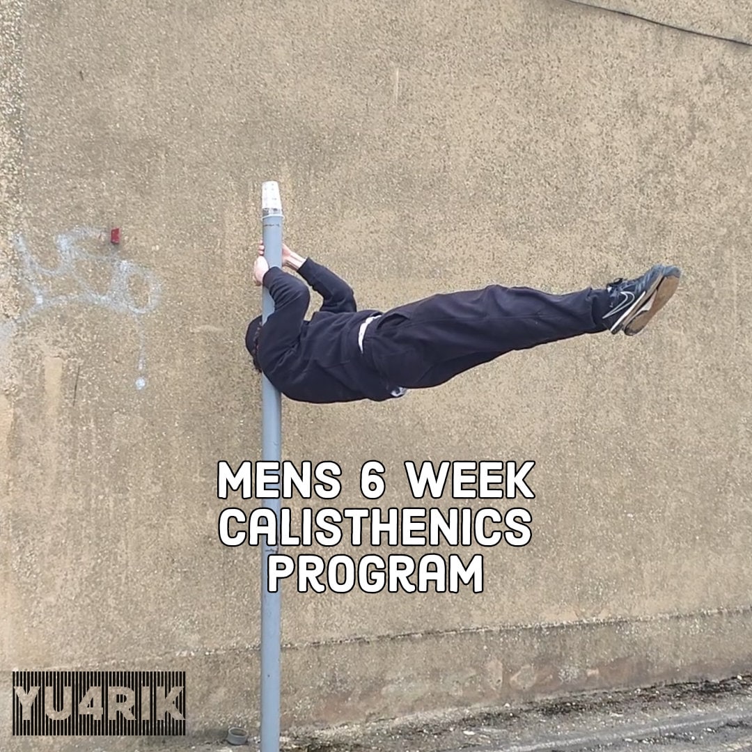 Men's 6 Week Weight Loss Training Program Body Weight/calisthenics - Etsy