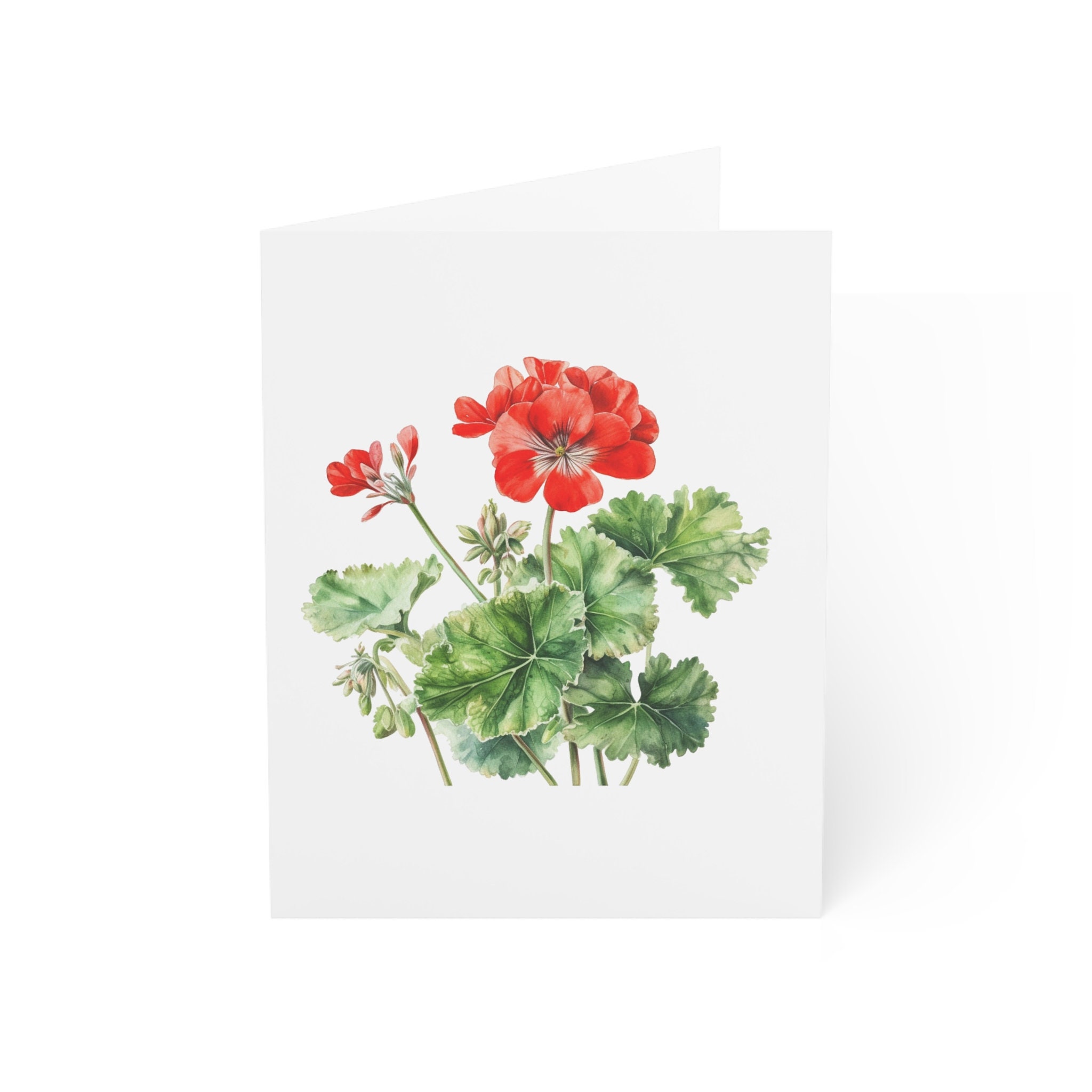 NEW Watercolor Flowers Card Set . Note Cards . Red Geranium . Greeting ...