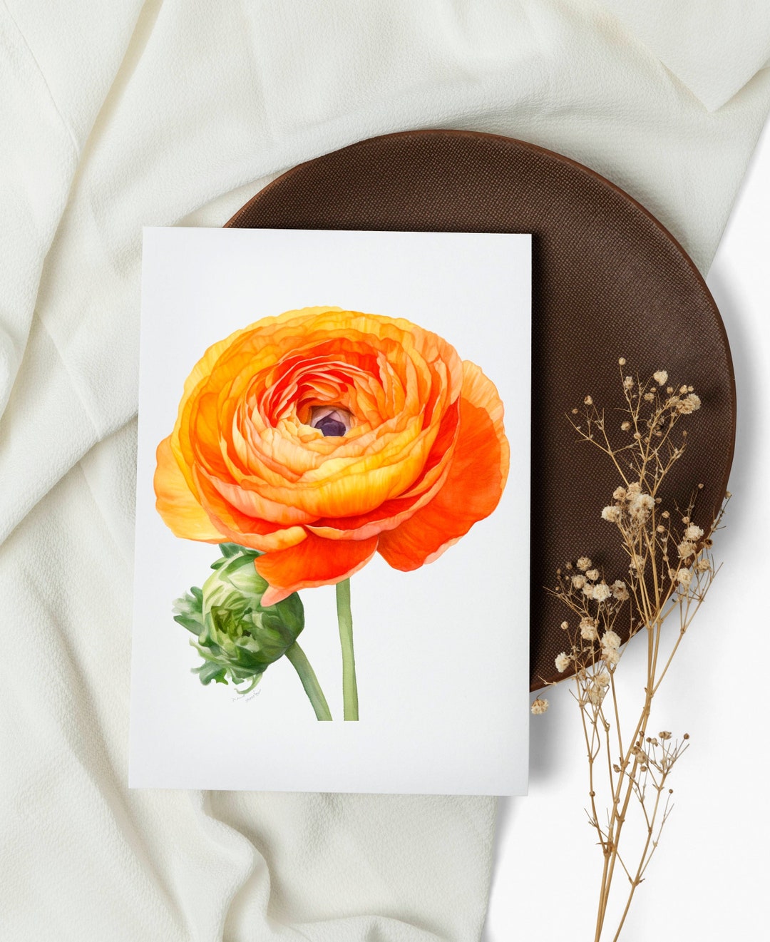Watercolor Orange Ranunculus Card Set: Botanical Greeting Cards - Etsy