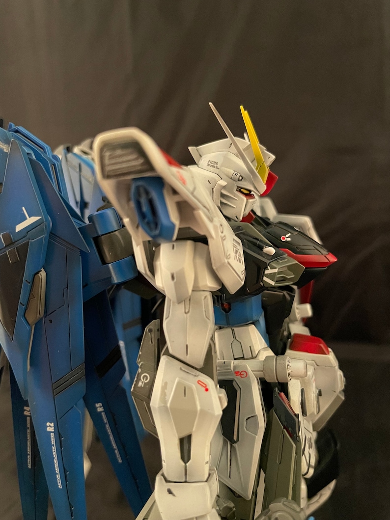 Bandai Freedom Gundam 2.0 MG Custom Detail and Painted Completed Kit - Etsy