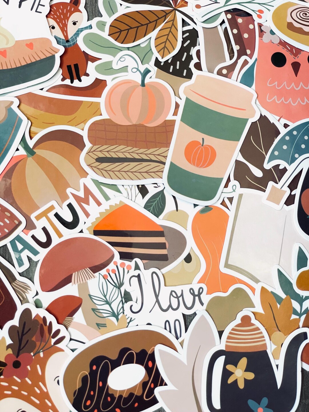 10-40 Pack Cartoon Fall Autumn Aesthetic Stickers for Journal, Phone ...