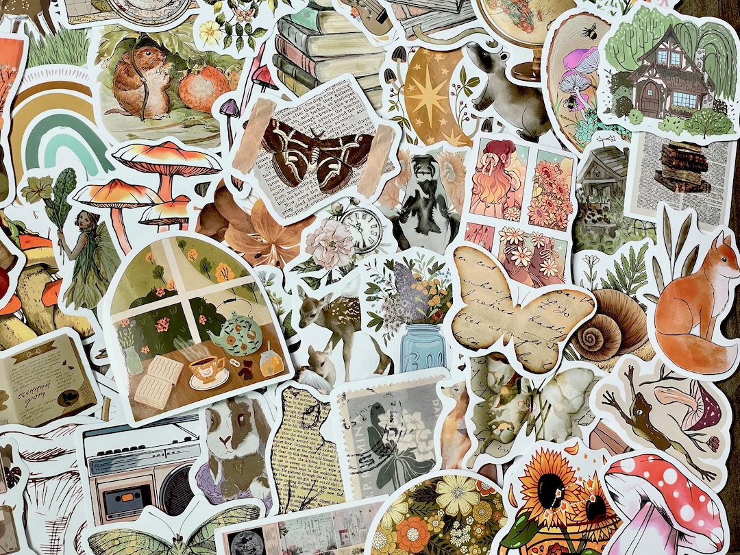 10-40 Pack Retro Cottagecore Aesthetic Stickers, Retro Style Stickers ...