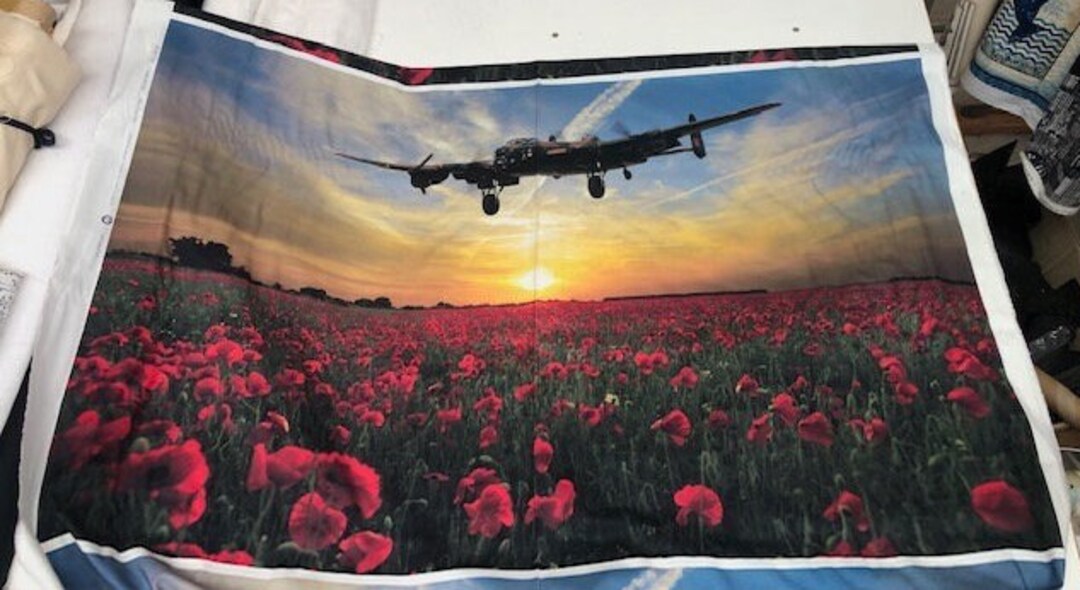 Devonstone Collection Design Fabric Field of the Fallen - Etsy