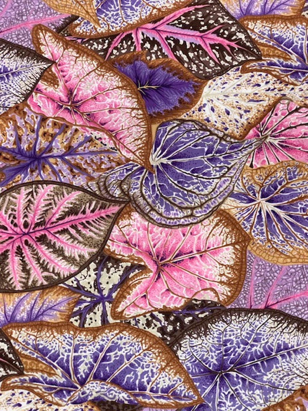 Kaffe Fassett Fabric Caladiums - Etsy