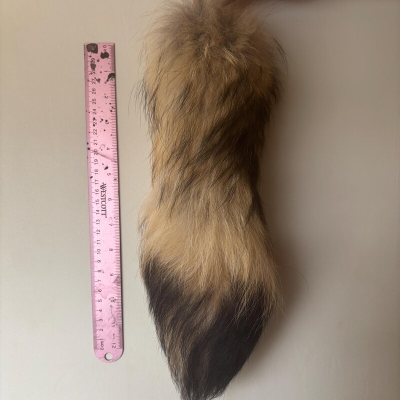 WildkatzShop - Etsy