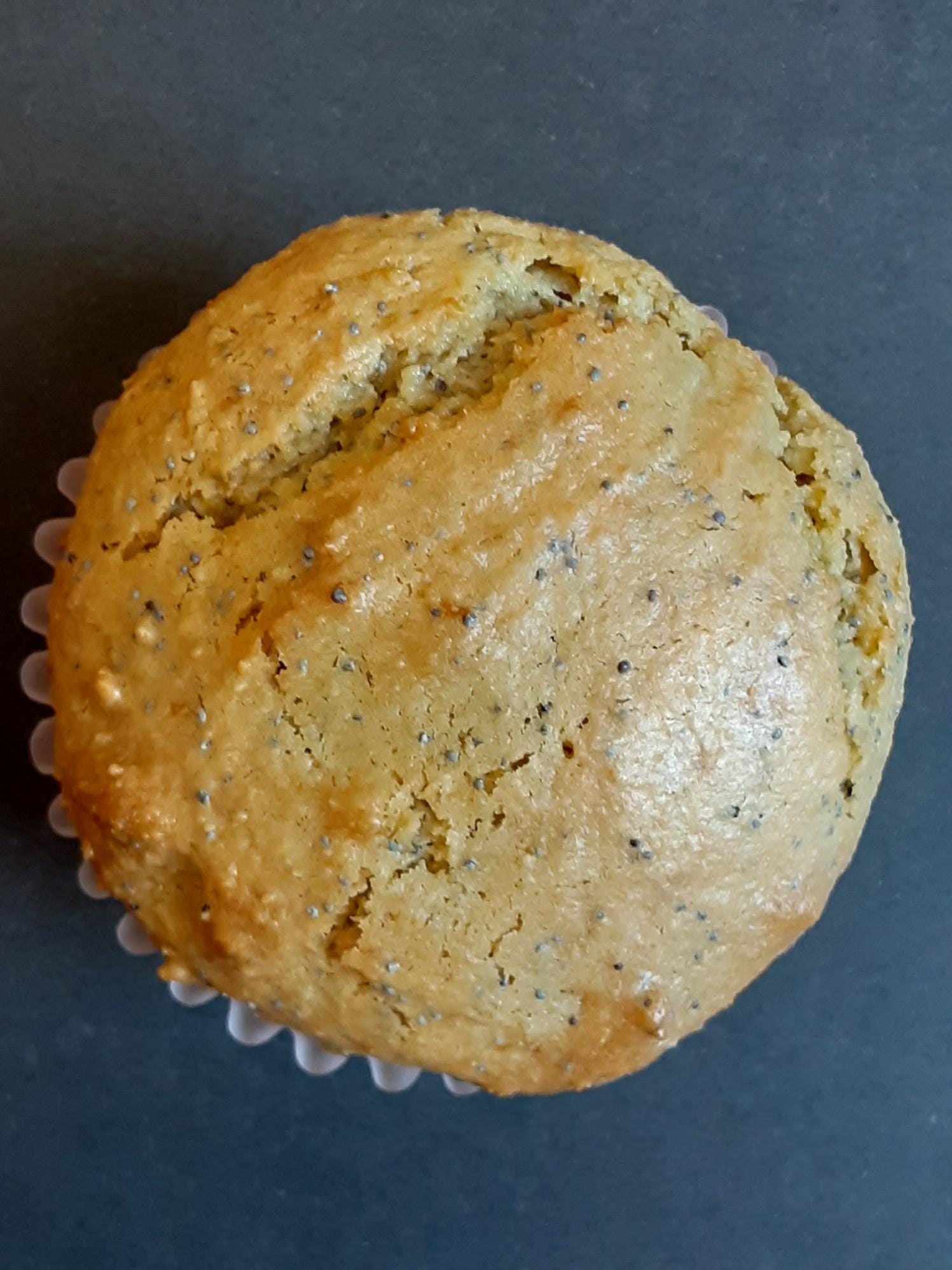 Gluten-free Lemon Poppyseed Muffins - Etsy