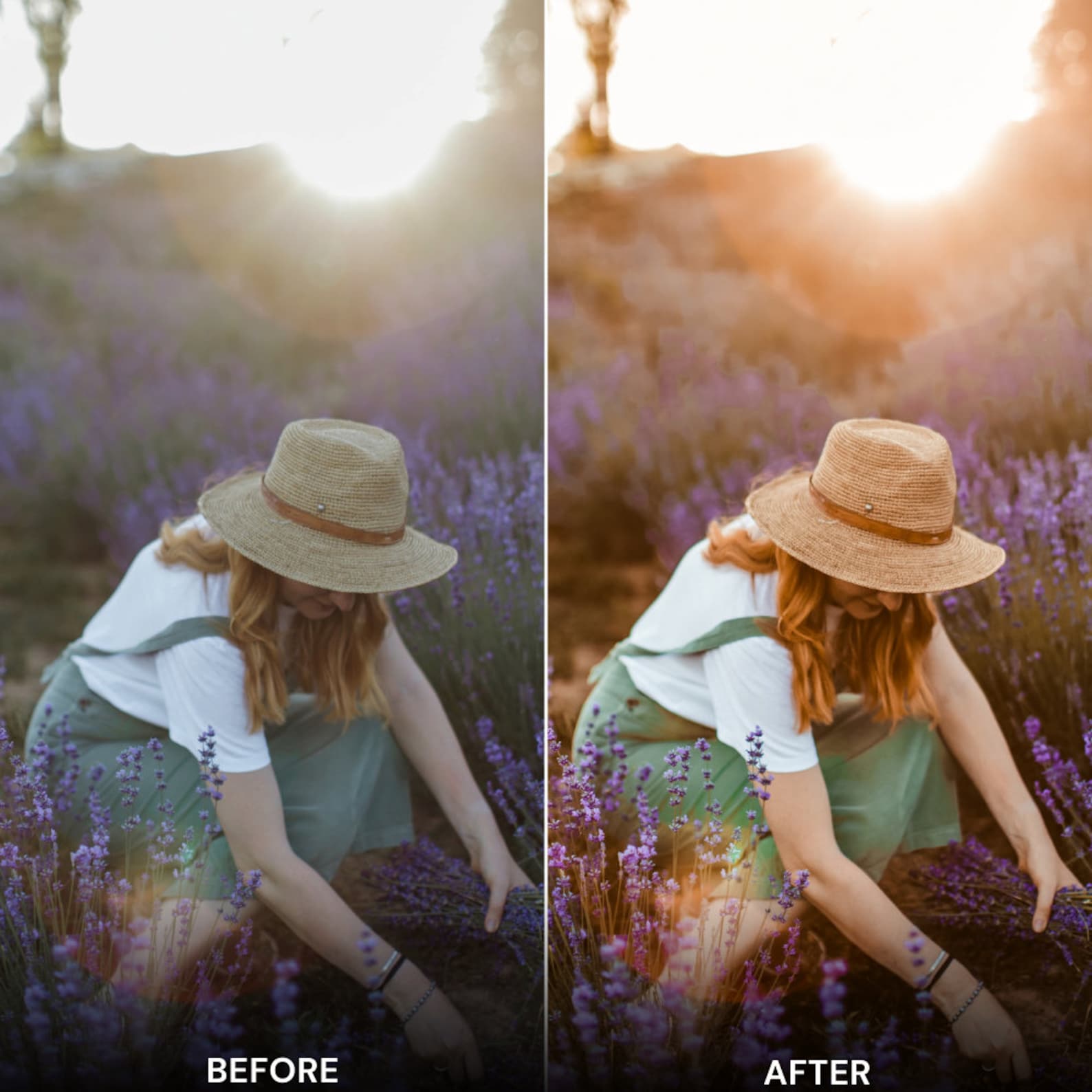 Golden Hour Lightroom Preset Filters Enhance Your Photos With Warm ...