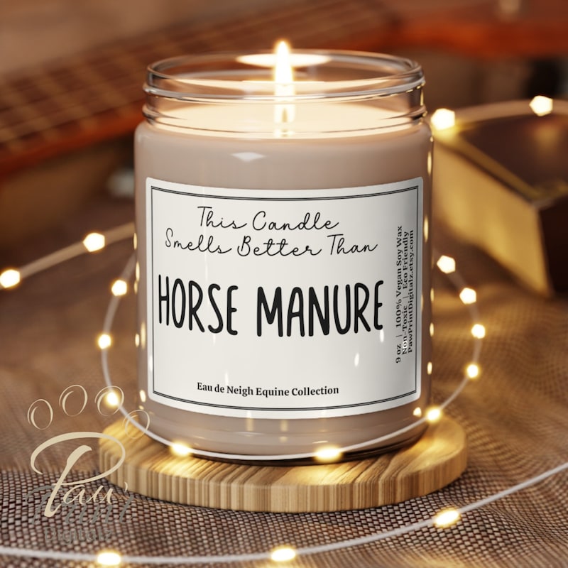 Poop Scented Candle - Etsy