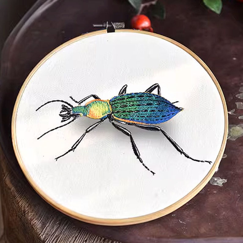 Beetle Embroidery Kit: 3D Insect Hoop Art - Adult Craft - Etsy