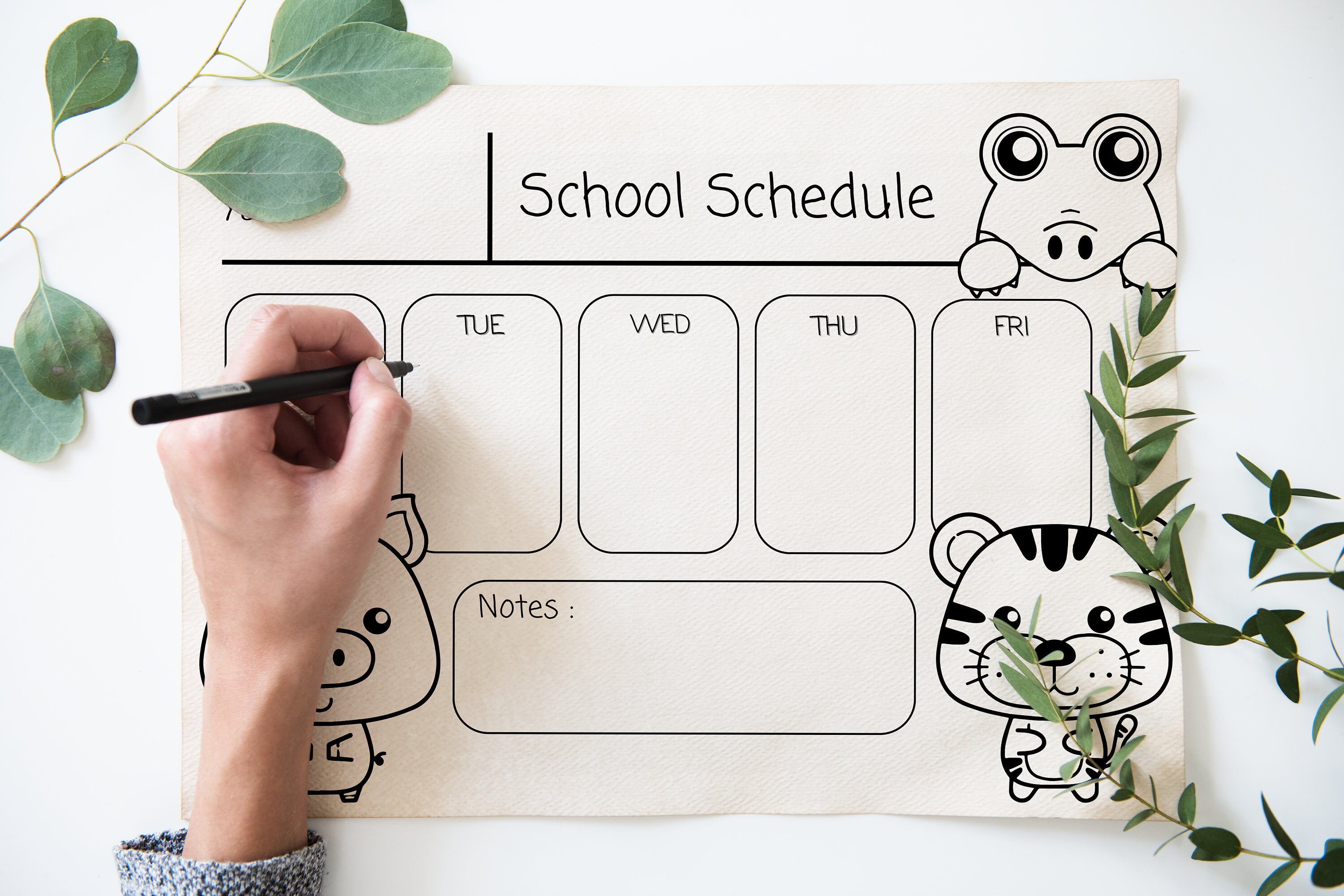 Colouring School Timetable Tiger, Pig, Crocodile, Cute Animals, Daily ...
