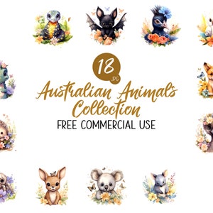 Australian Animal Collection Clipart Bundle, 18 Digital JPG, Outback ...