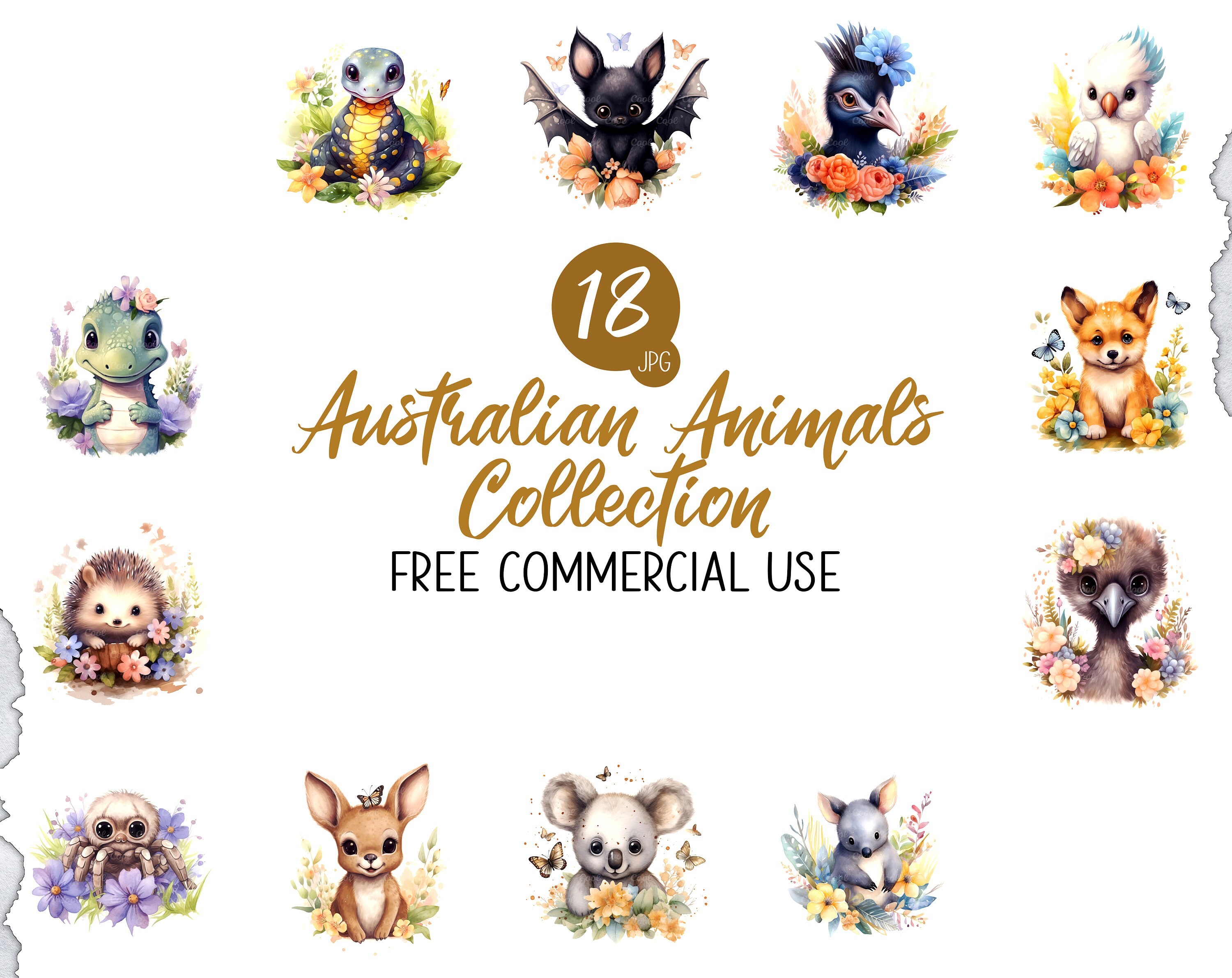 Australian Animal Collection Clipart Bundle, 18 Digital JPG, Outback ...