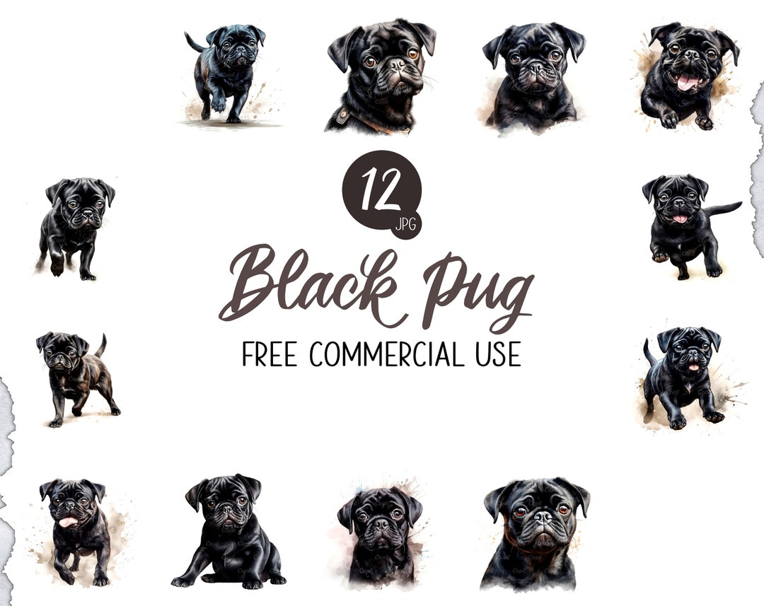 Black Pug Clipart Bundle 12 Digital JPG Vintage Dog Art - Etsy
