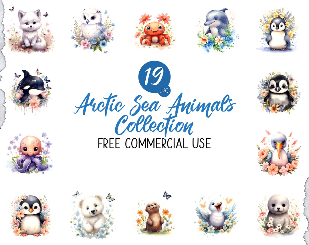 Arctic Sea Animal Collection Clipart Bundle, 19 Digital JPG, Sea Fauna ...