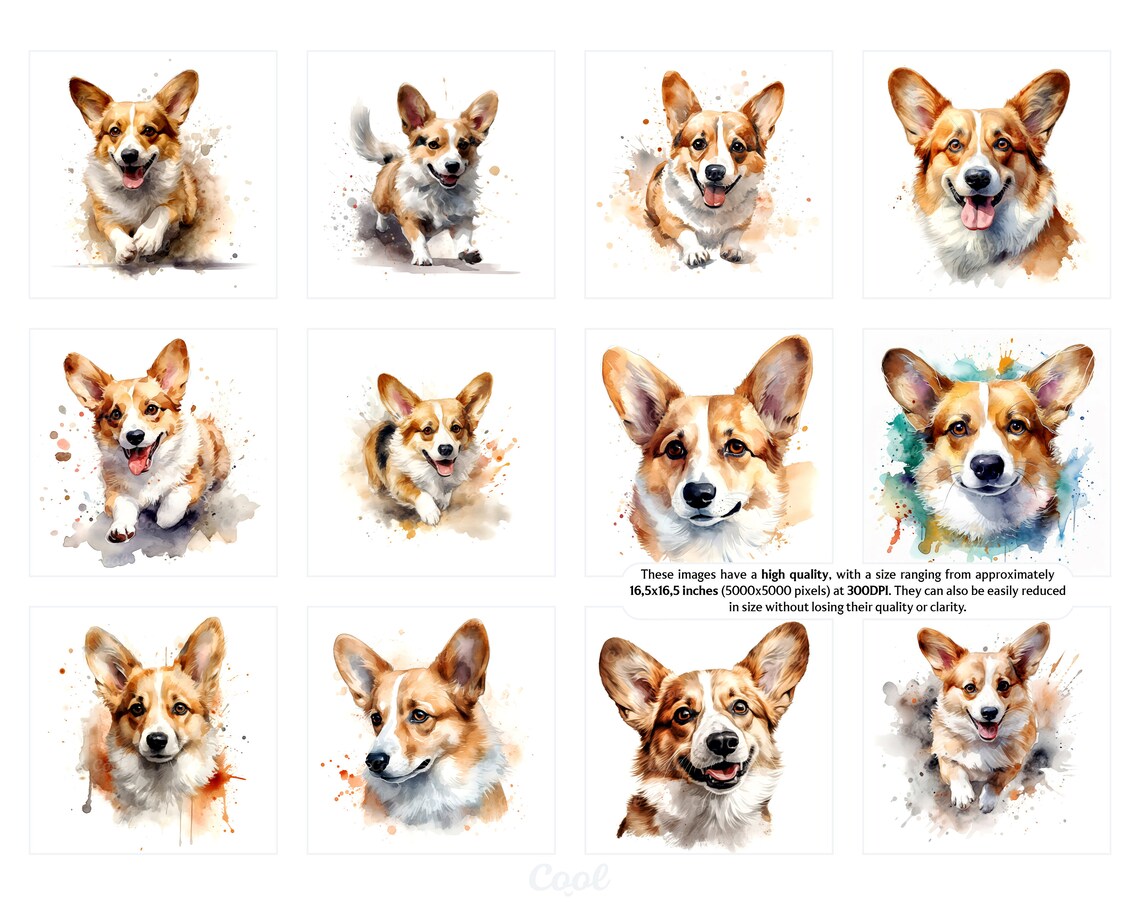 Pembroke Welsh Corgi Clipart Bundle, 12 Digital JPG, Dog Breed Art ...