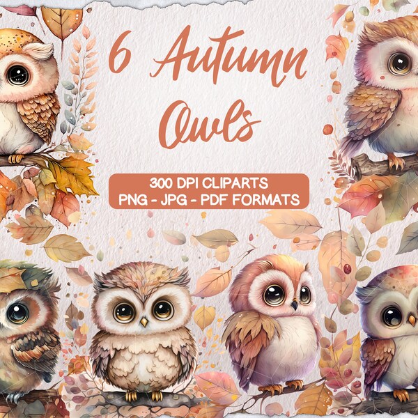 Fall Owl Clipart - Etsy