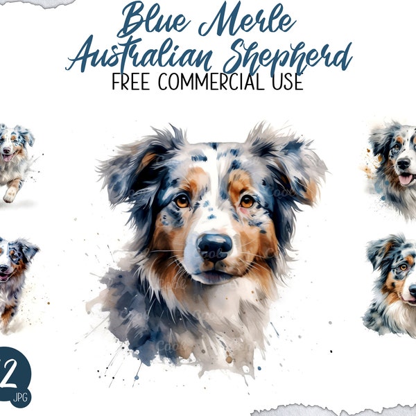Blue Merle - Etsy
