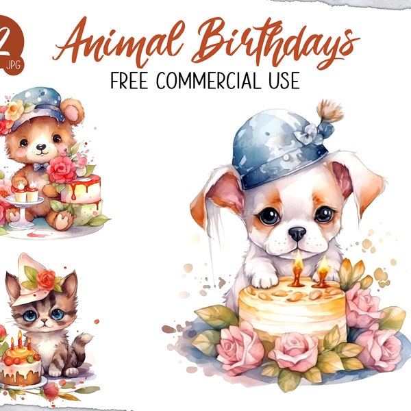 Bird Confetti - Etsy