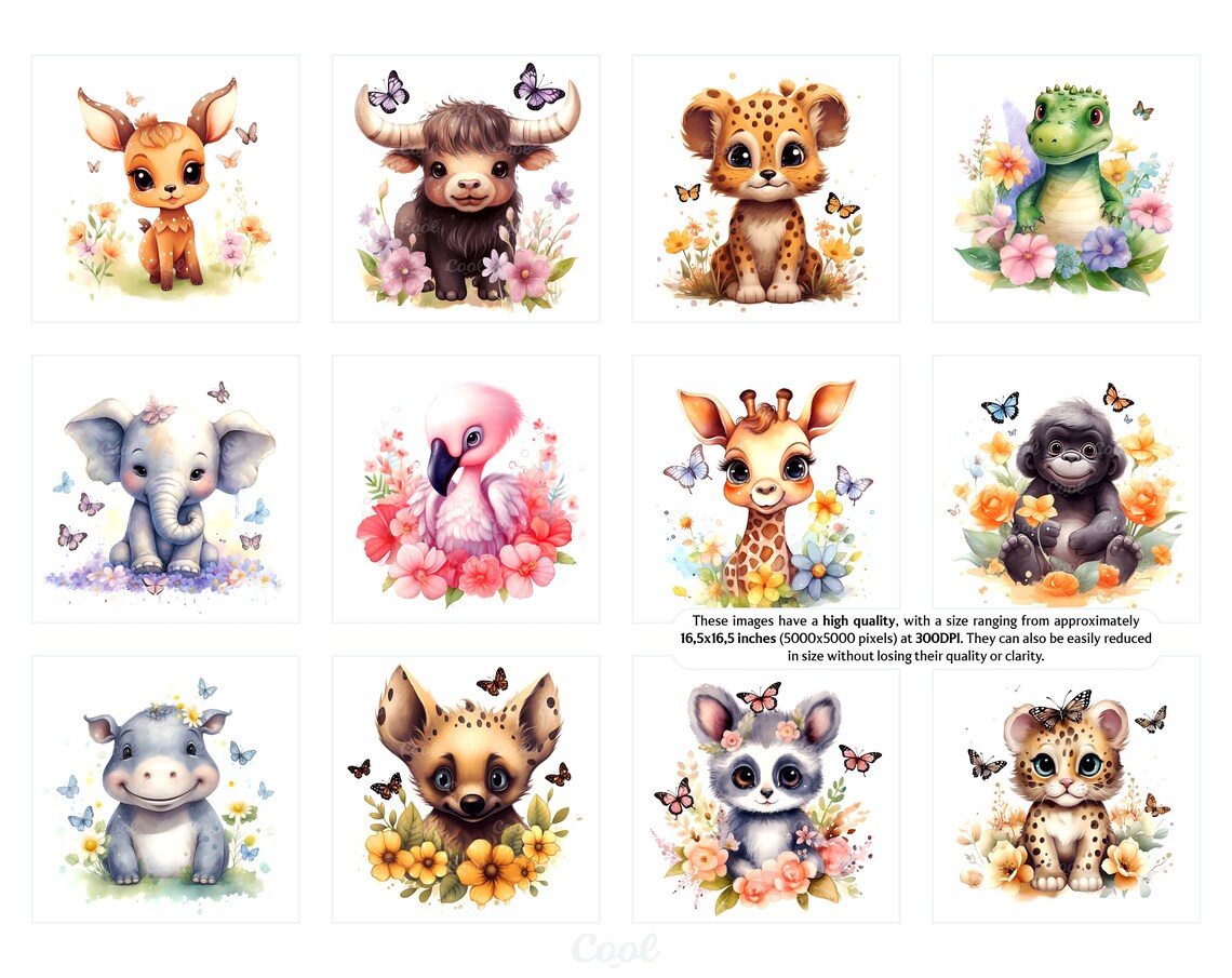 African Animal Collection Clipart Bundle, 20 Digital JPG, Safari Fauna ...