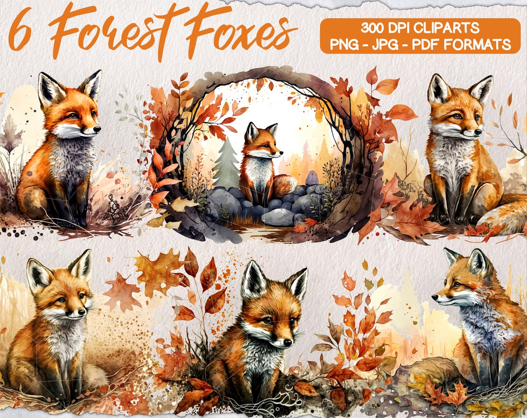 Watercolor Forest Fox Clipart Bundle Woodland Fox Art PNG - Etsy