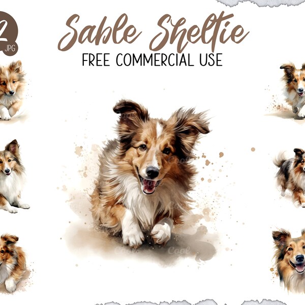 Sheltie - Etsy
