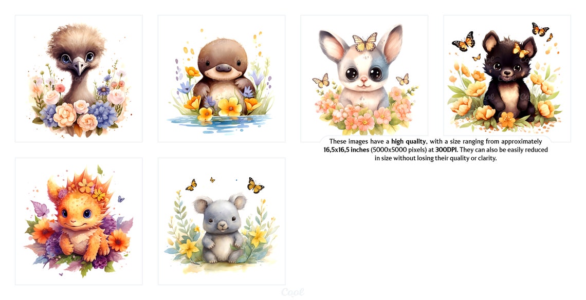 Australian Animal Collection Clipart Bundle, 18 Digital JPG, Outback ...