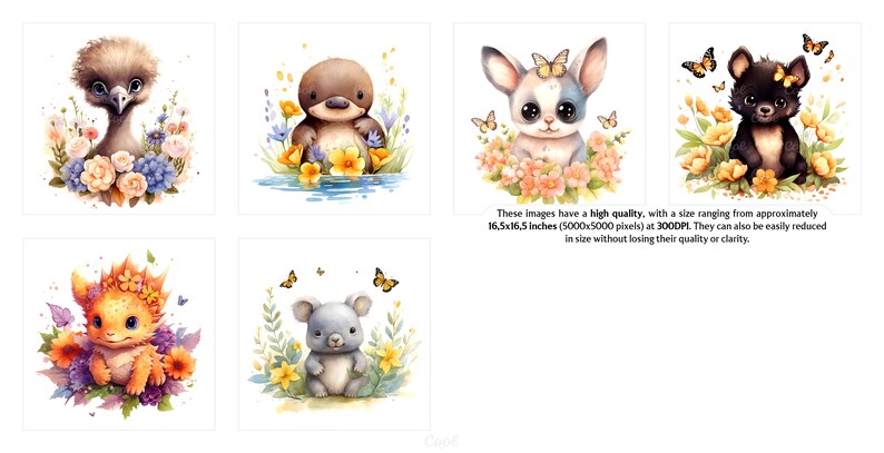 Australian Animal Collection Clipart Bundle, 18 Digital JPG, Outback ...