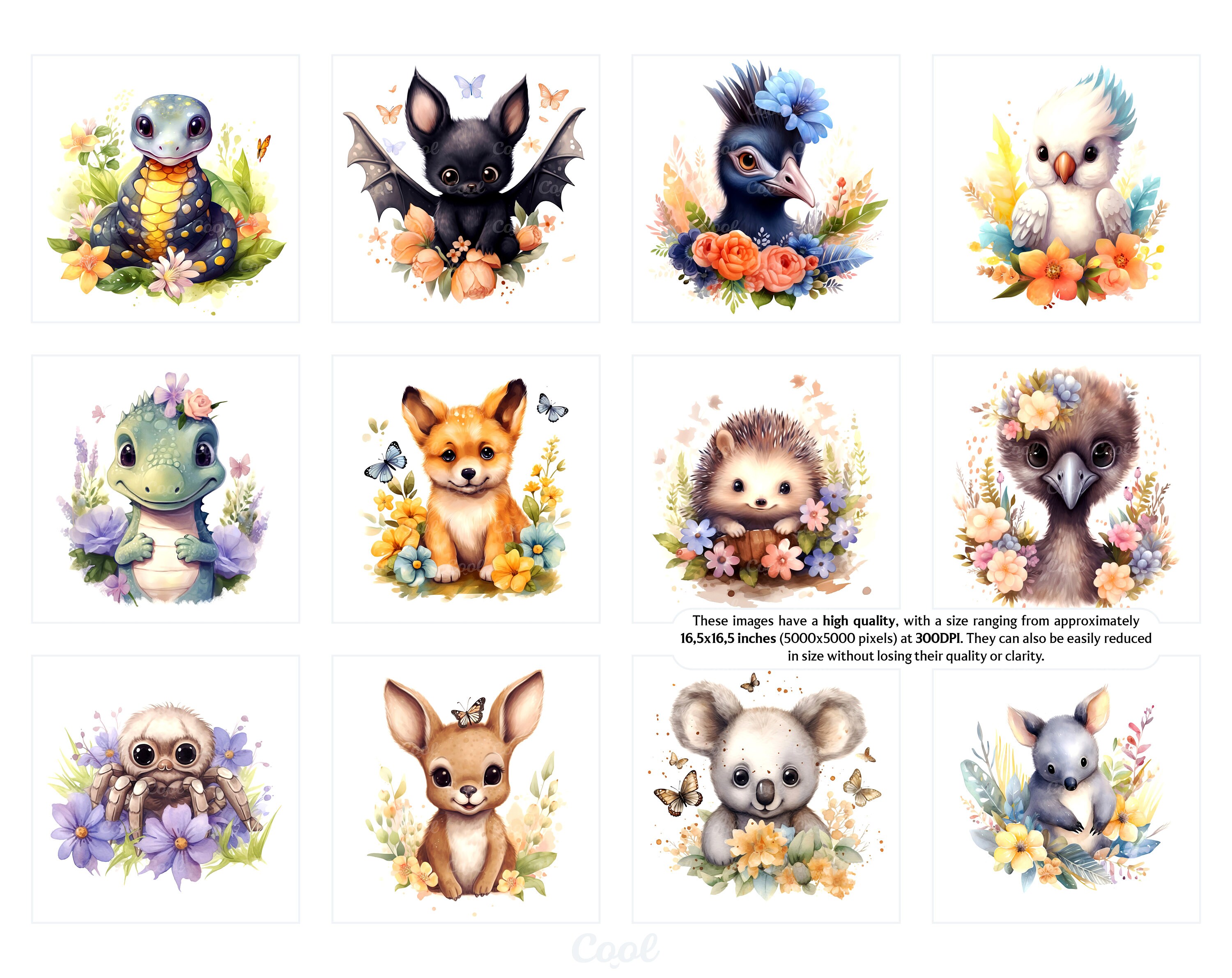 Australian Animal Collection Clipart Bundle, 18 Digital JPG, Outback ...