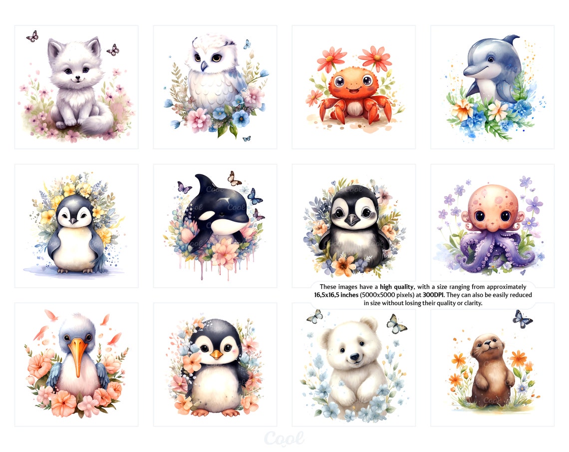Arctic Sea Animal Collection Clipart Bundle, 19 Digital JPG, Sea Fauna ...