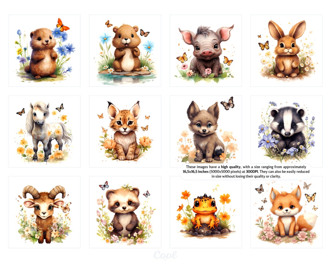 European Animal Collection Clipart Bundle, 20 Digital JPG, Continental ...