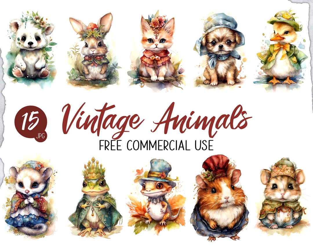 Vintage Animal Clipart Bundle 15 Digital JPG Retro Fauna - Etsy