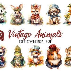 Vintage Animal Clipart Bundle 15 Digital JPG Retro Fauna - Etsy