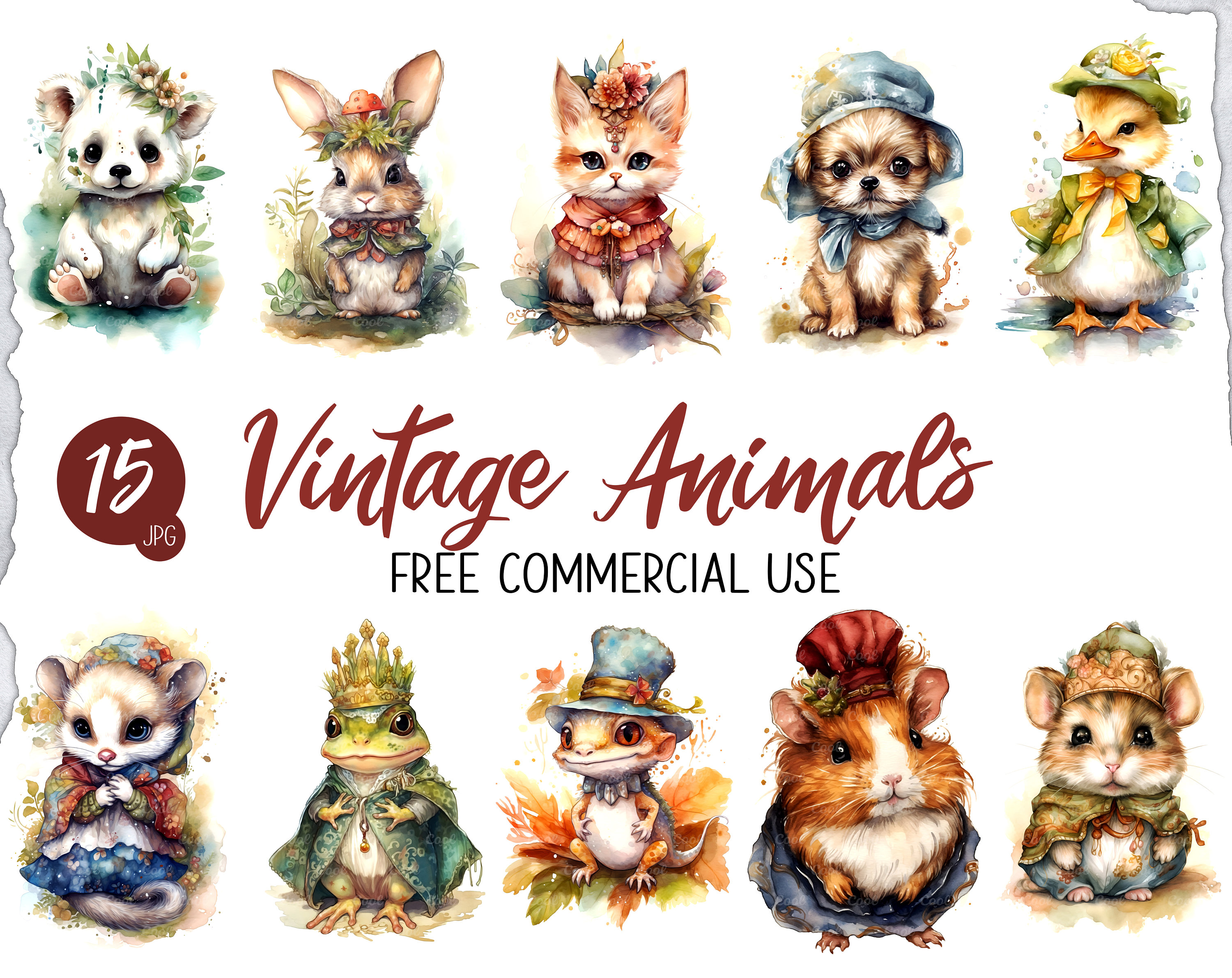 Vintage Animal Clipart Bundle 15 Digital JPG Retro Fauna - Etsy