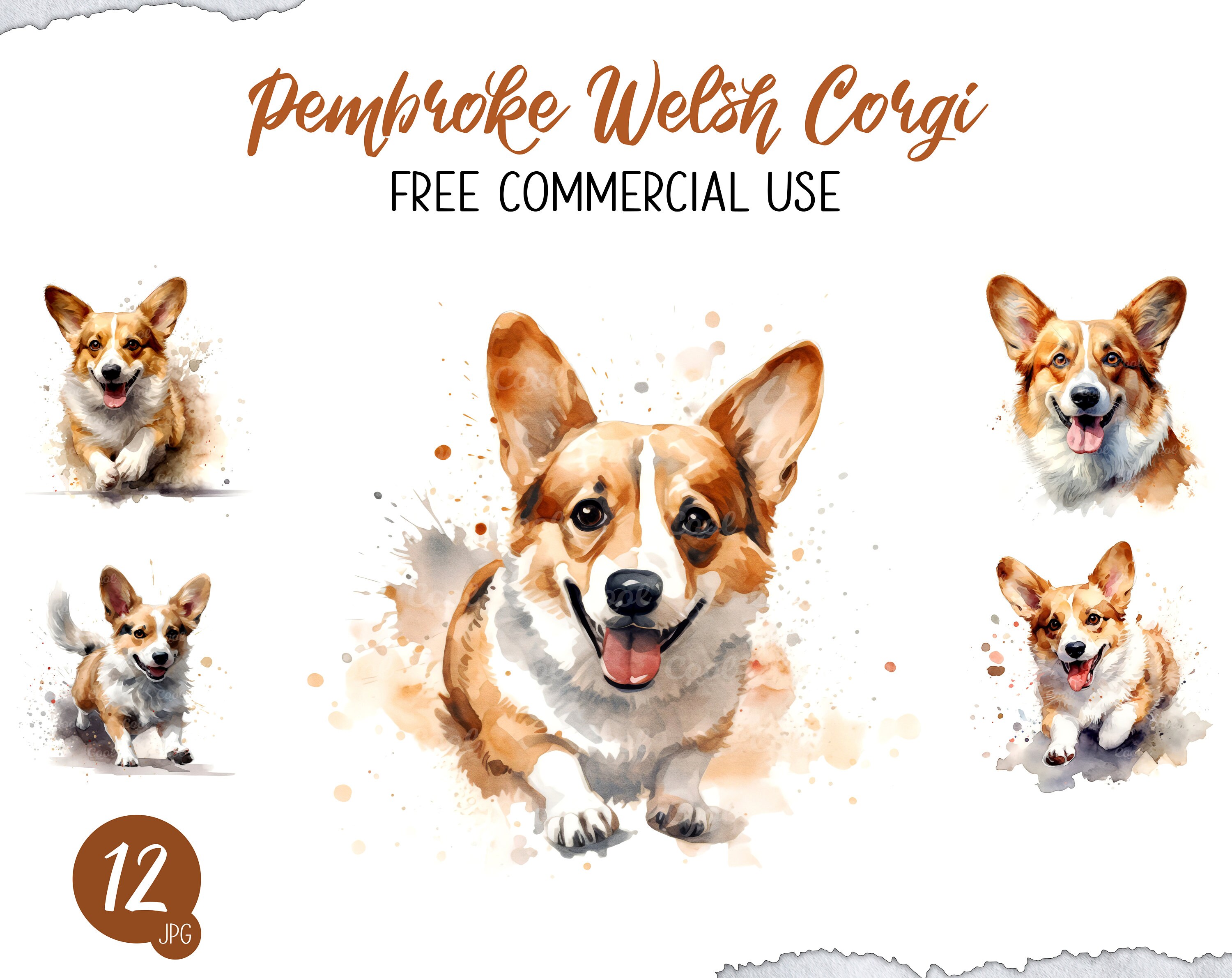 Pembroke Welsh Corgi Clipart Bundle, 12 Digital JPG, Dog Breed Art ...