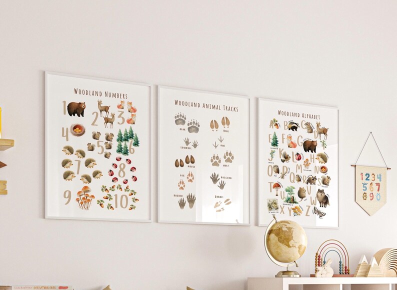 Woodland Animals Alphabet, Numbers, Tracks Prints: Educational ...