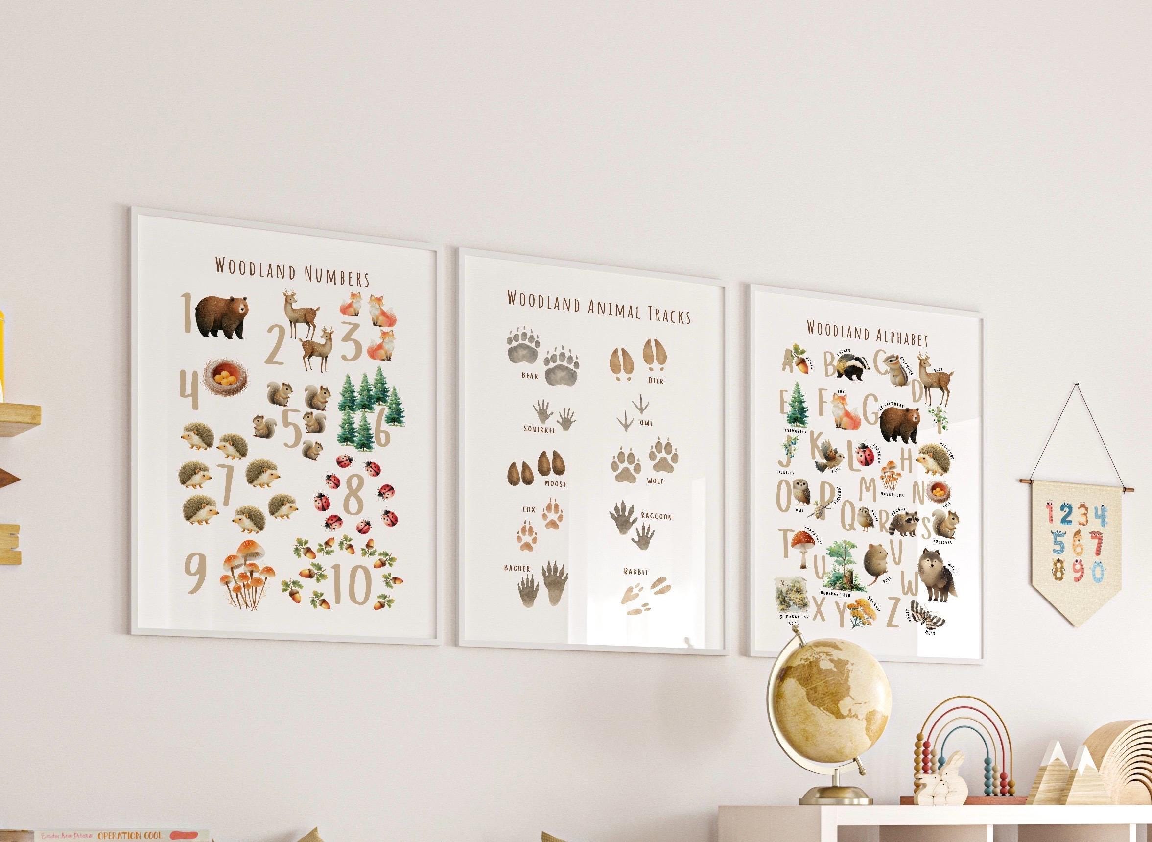 Woodland Animals Alphabet, Numbers, Tracks Prints: Educational ...