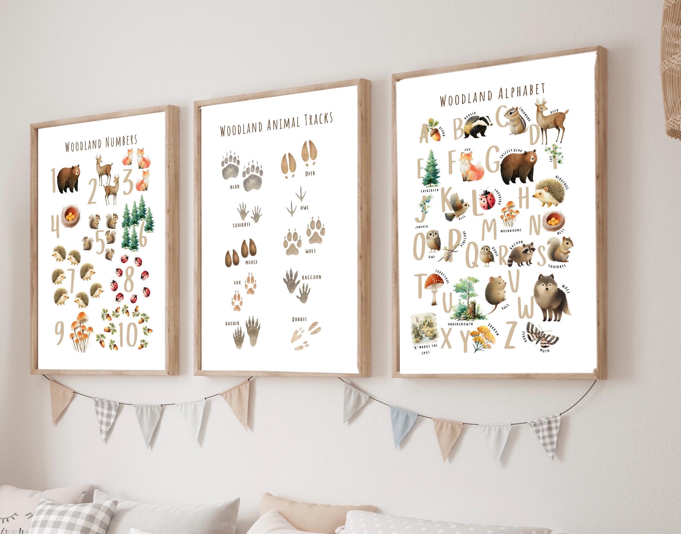 Woodland Animals Alphabet, Numbers, Tracks Prints: Educational ...