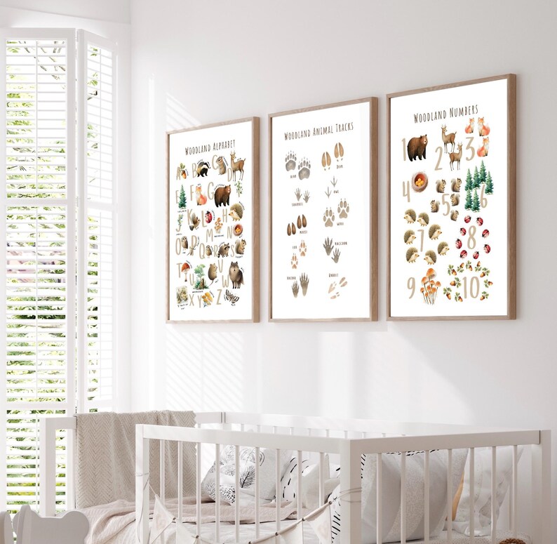 Woodland Animals Alphabet, Numbers, Tracks Prints: Educational ...