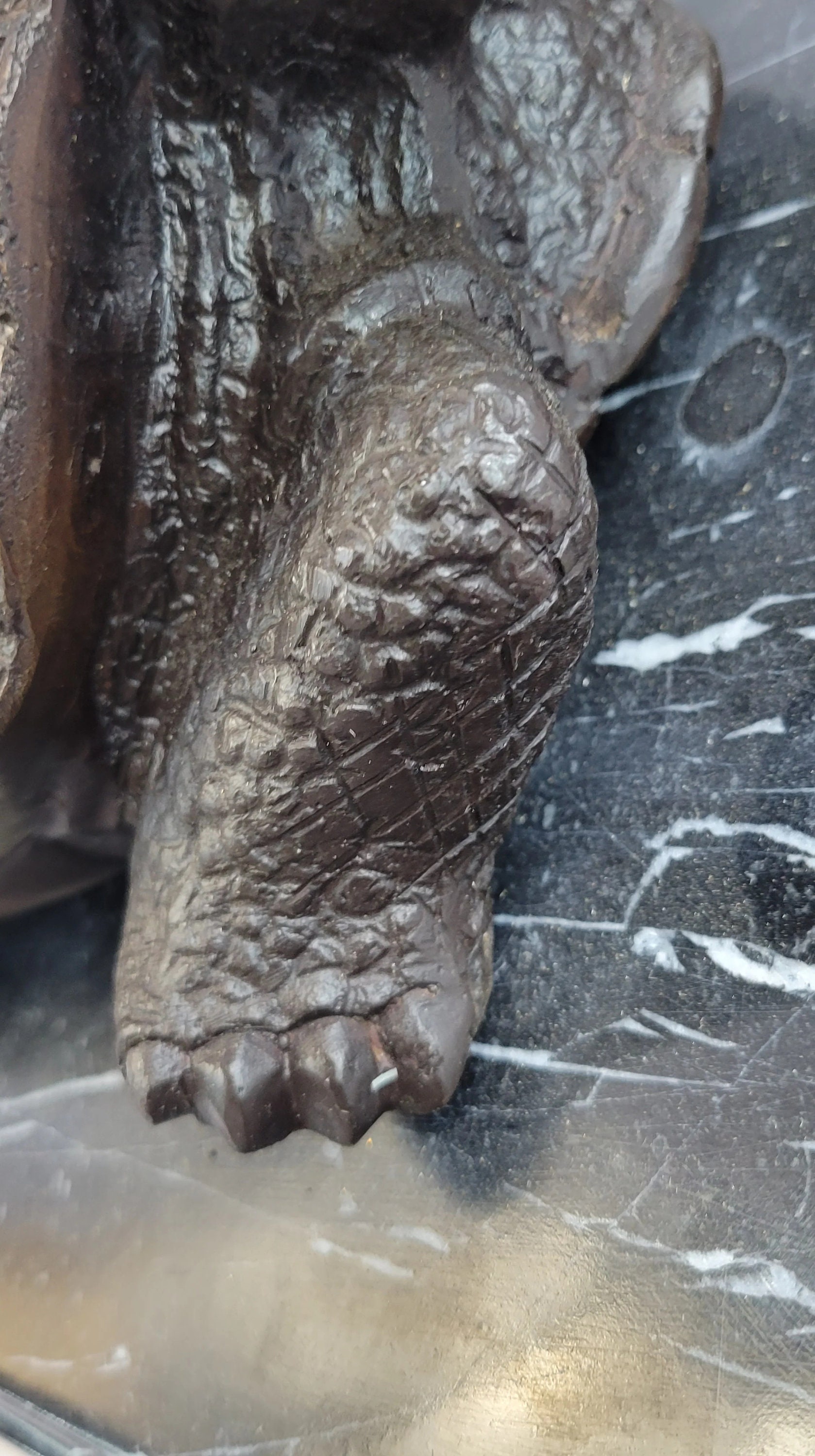 Bronze Tortoise Turtle Life Size Sculpture Statue Figure - Etsy