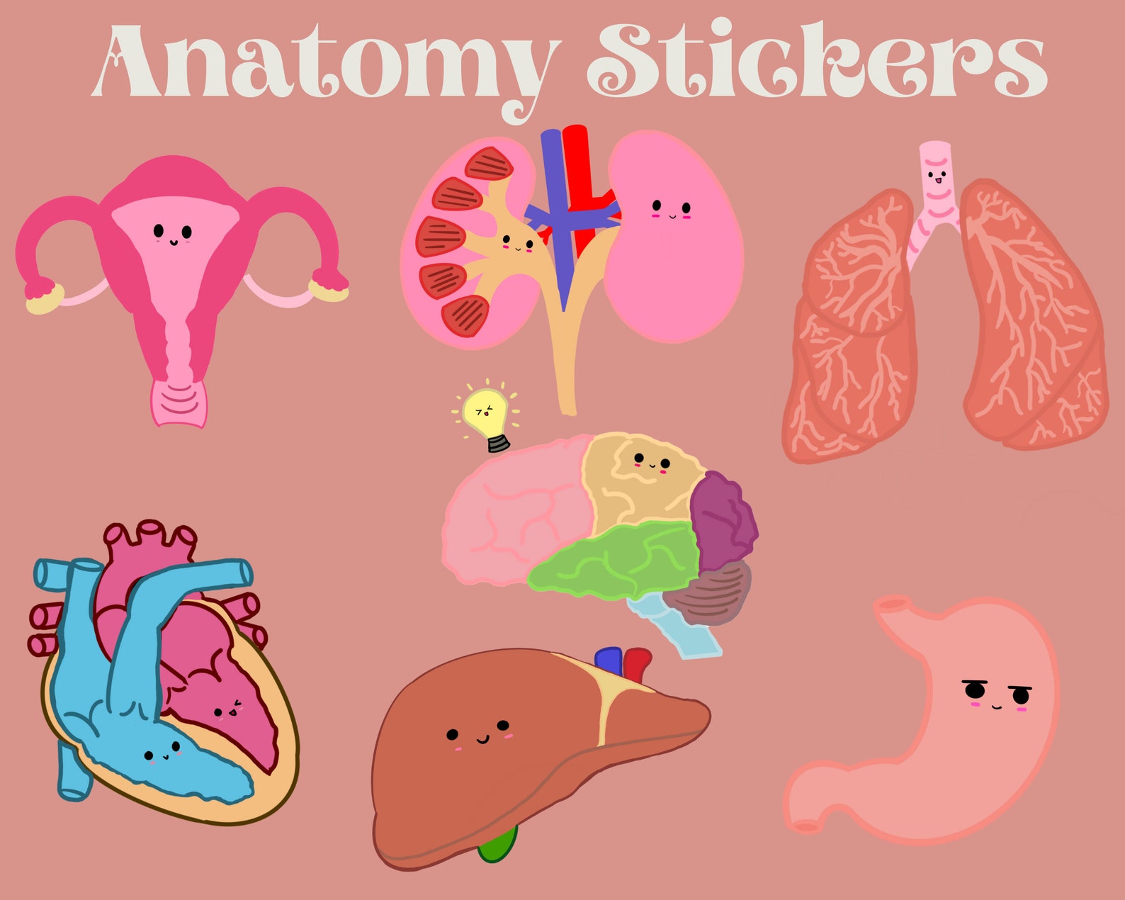 Cute Anatomy Stickers, Liver, Heart, Stomach, Brain, Lung, Uterus ...